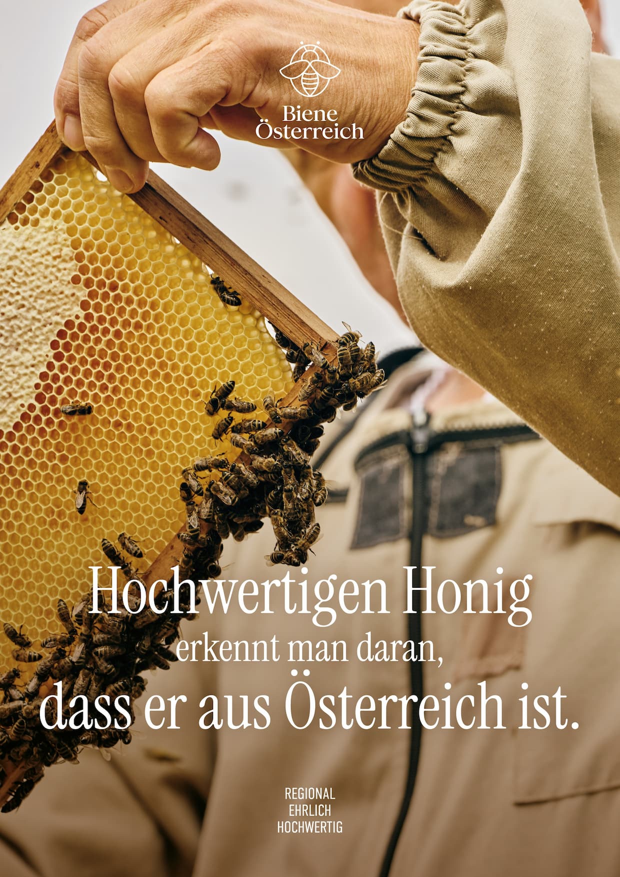 Honig: Honig aus Österreich | Rund um die Biene