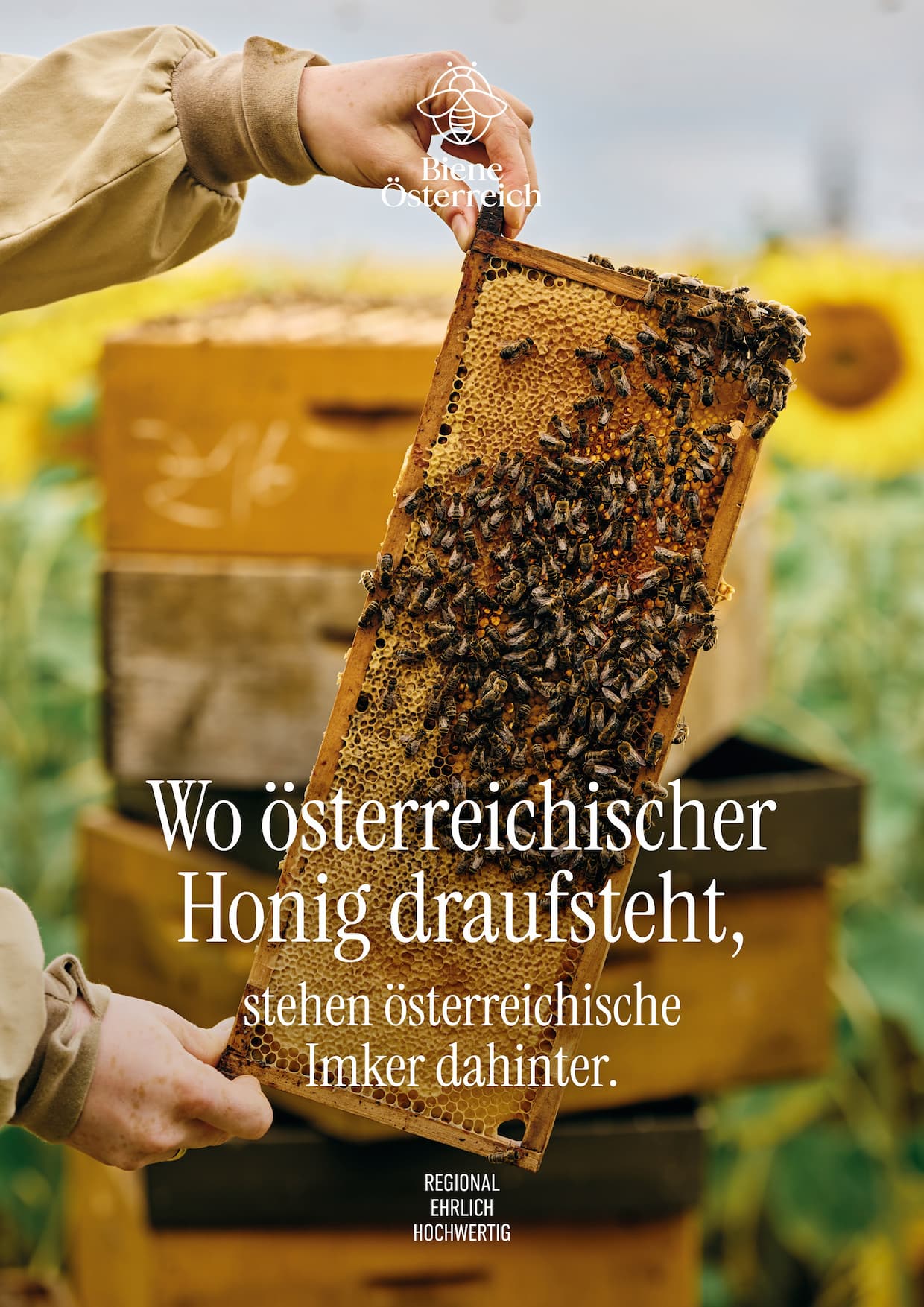 Honig: Honig aus Österreich | Rund um die Biene