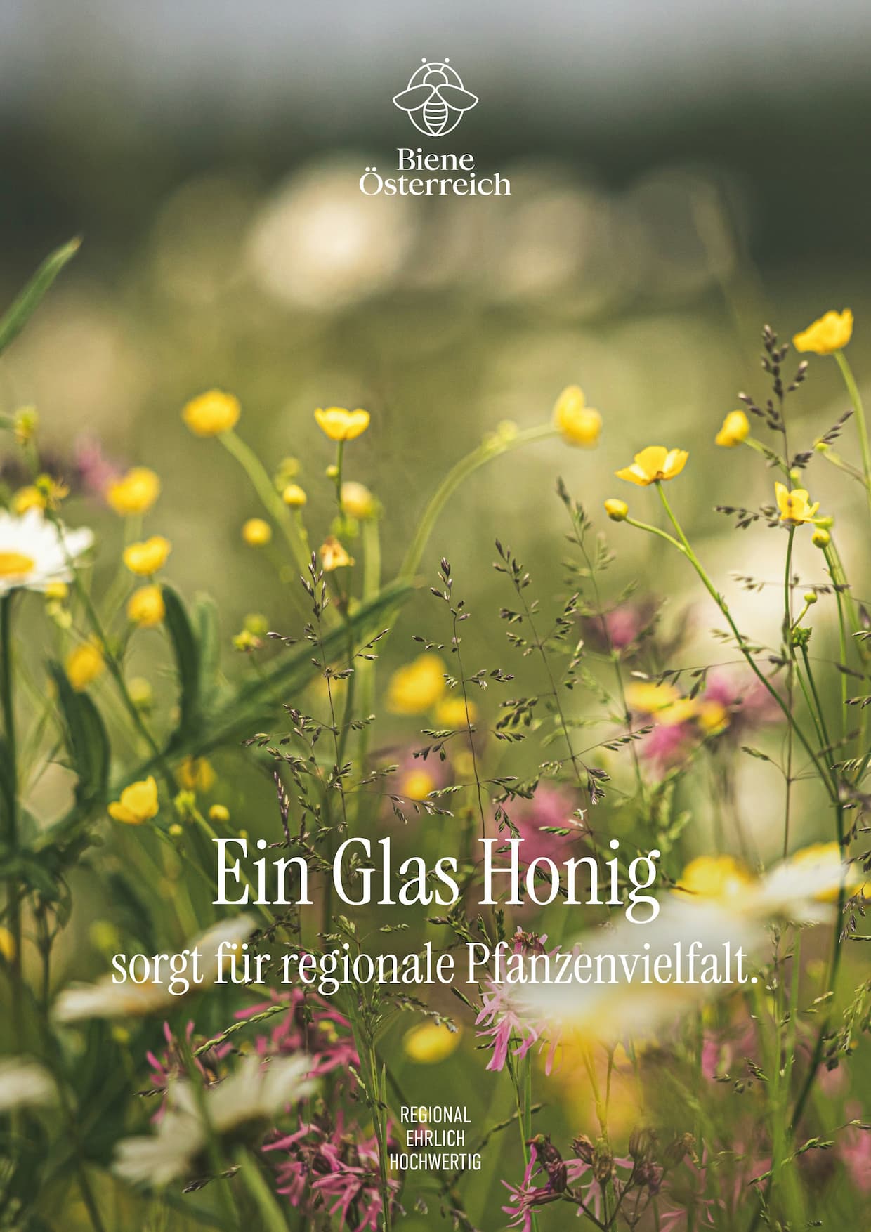 Honig: Honig aus Österreich | Rund um die Biene
