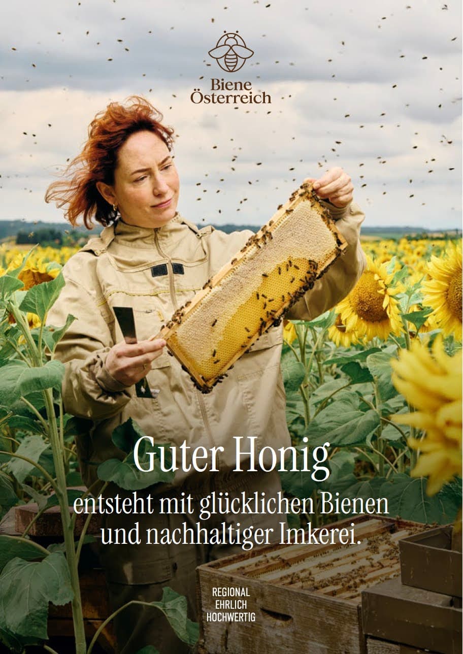 Honig: Honig aus Österreich | Rund um die Biene