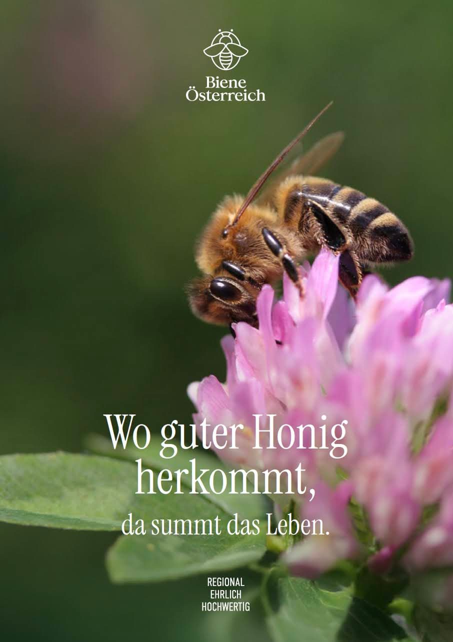 Honig: Honig aus Österreich | Rund um die Biene