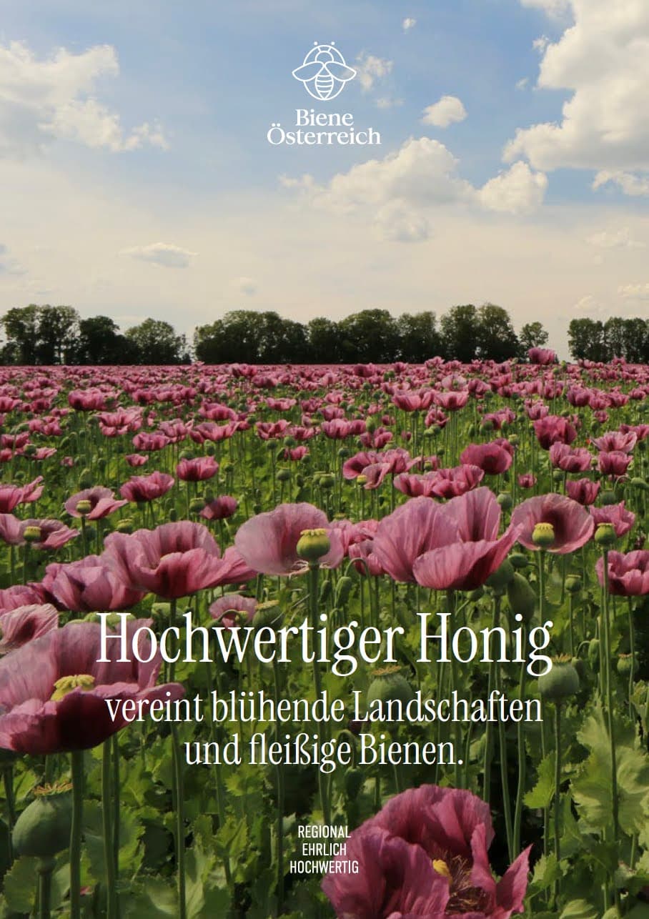 Honig: Honig aus Österreich | Rund um die Biene