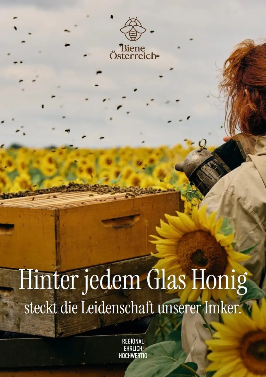 Honig: Honig aus Österreich | Rund um die Biene